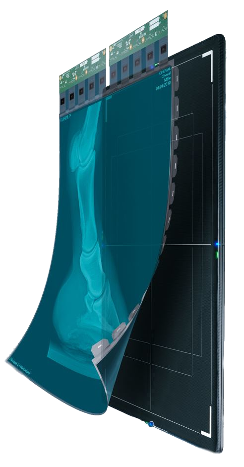 FUJI DEVO3 équin - Fujifilm Vet Systems France